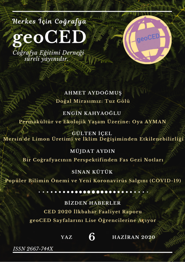 Sayı 06 – geoCED